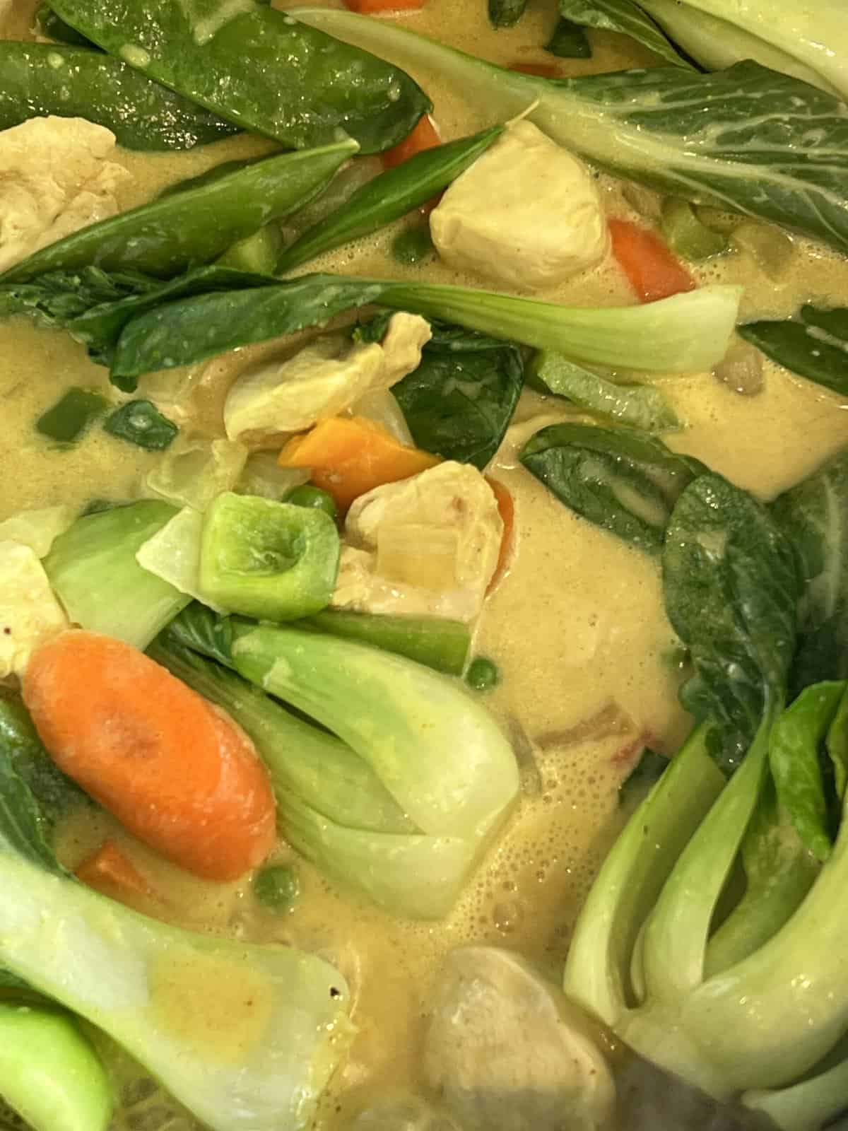 High Vibration Chicken Curry - STARSEED KITCHEN